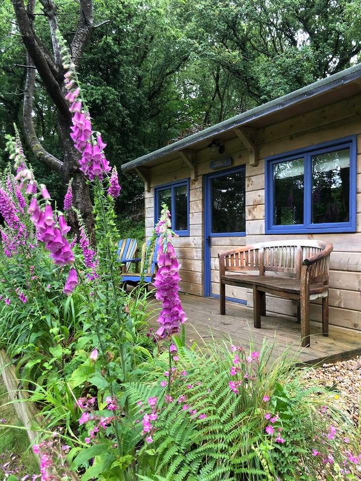 Bluebell Lodge - Bodmin