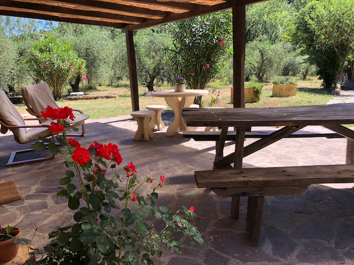 Independent Typical Country House In Olive Orchard - Castagneto Carducci