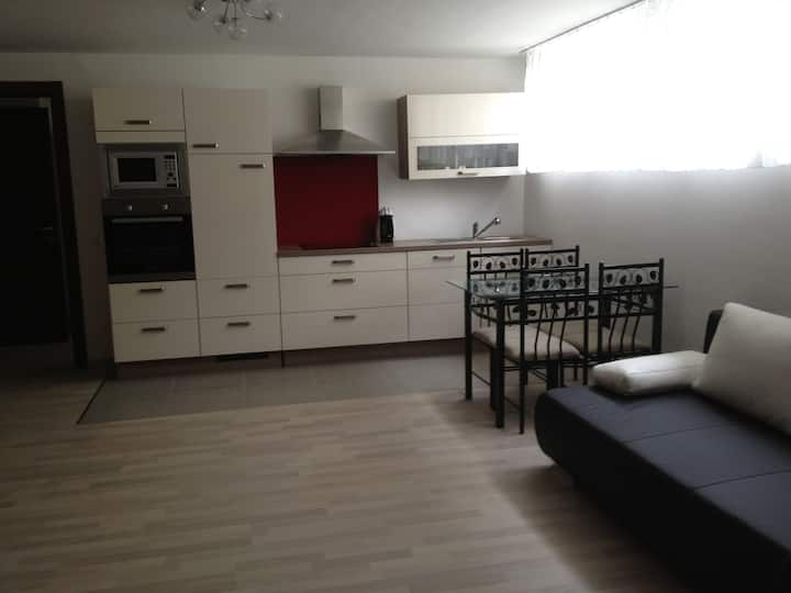 Studio 1 1/2 - Bellinzona