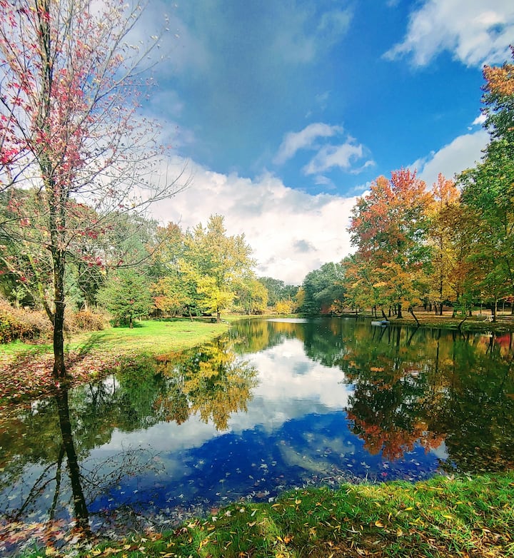 Lakehouse And Tree Farm On Private Luxury Estate - El Dorado Hills, CA