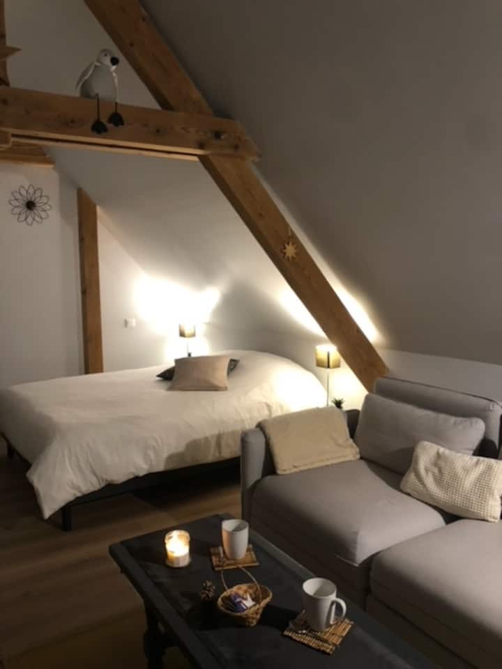 Loft Mansardé Romantique Alsace - Rosheim