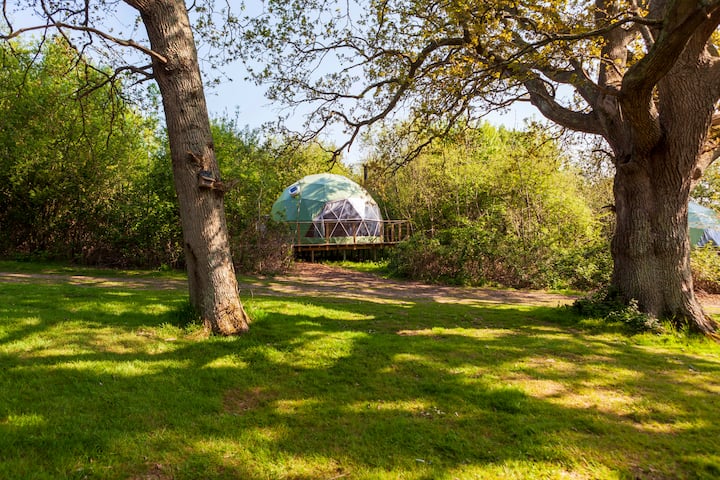 Glamp Wight Oak Geodesic Dome On The Isle Of Wight - Isle of Wight