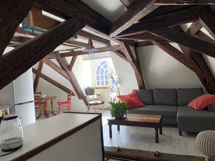 Ferienwohnung Am Entenplatz , Wohnung Nr. 5 - Wiesbaden