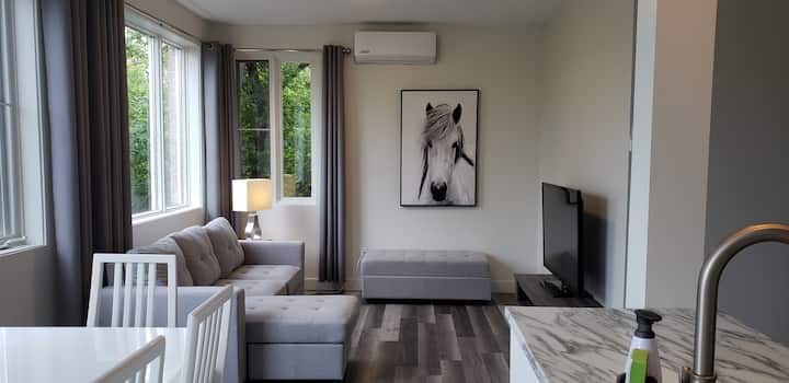 Le Tcheko Timi, Centre-ville - Saguenay