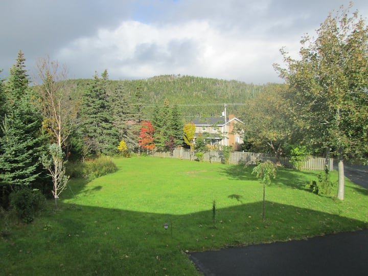 St. John's Country Home With A View & Near Airport - 聖約翰