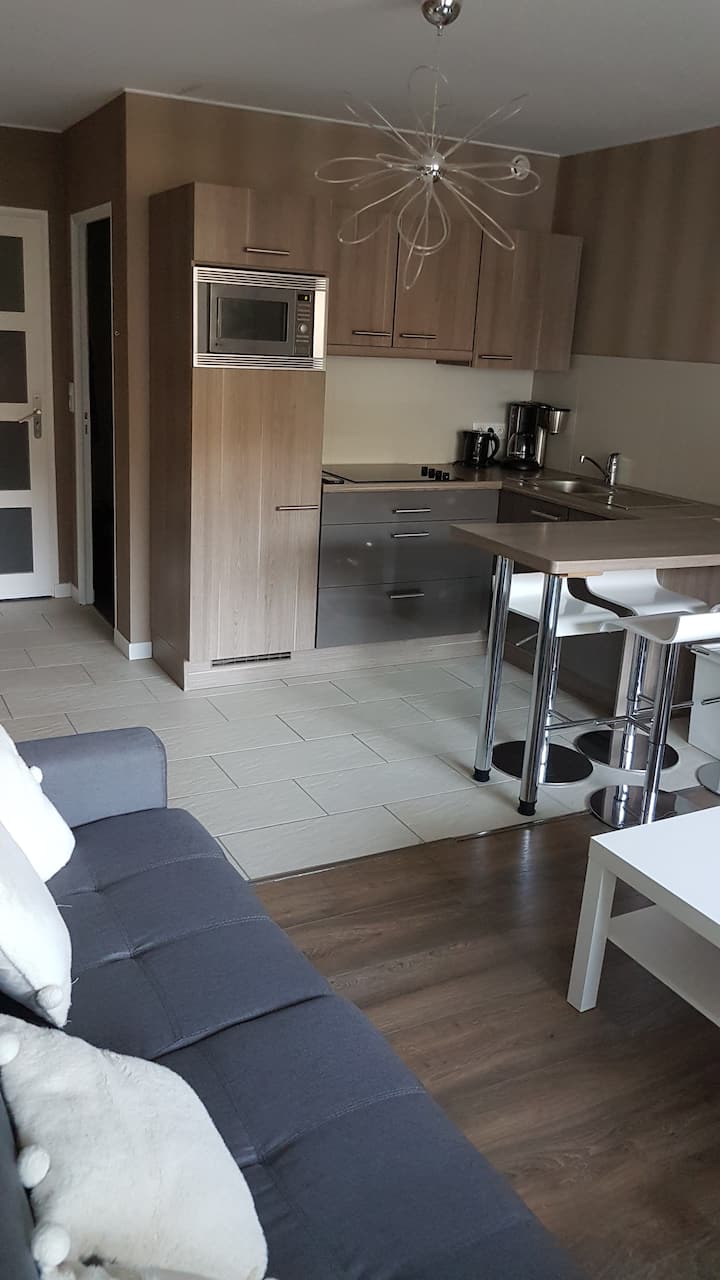 Le Cocon De La Bresse Au Pied Des Pistes (43m2) - Lac de Longemer