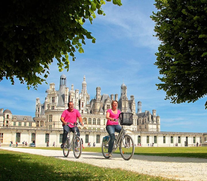 Au Cœur De Beauval Et Des Châteaux De La Loire - Bracieux