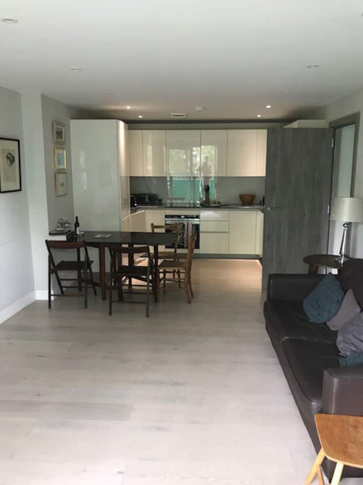 Another Double Room With A View .. In New Sw Apt - London