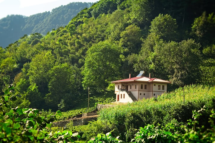 Aymer Boutique Hotel - Artvin