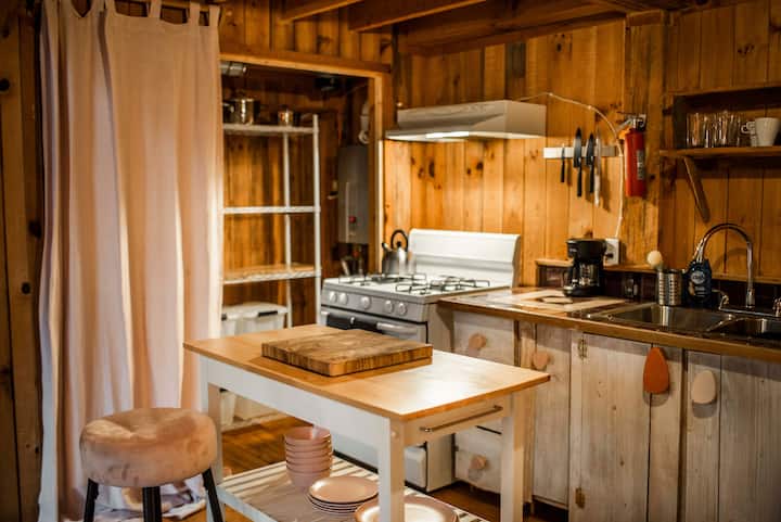 Log Cabin Apartment B Lake, Mountainbiking, Tennis - Brevard, NC