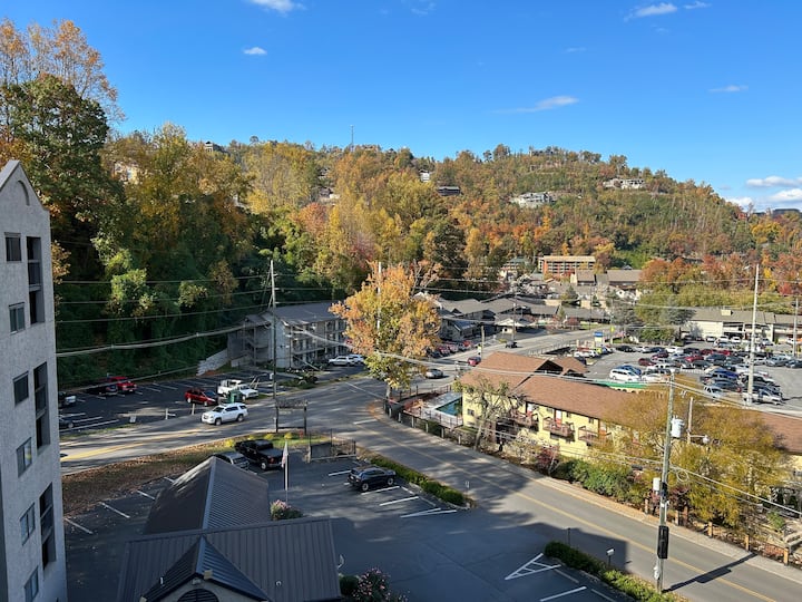 Walkable To Downtown- Downtown Mountain View - 개틀린버그