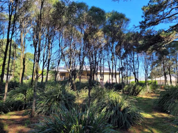 Wollemi House - In Forest And Waterways With Pool - Robertson