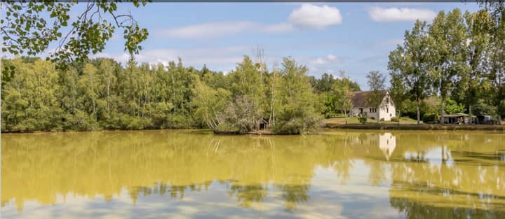 Grande Chambre Privée Entre Chambord/zoo Beauval. - Romorantin-Lanthenay
