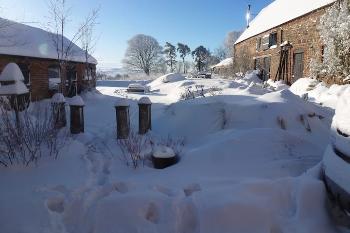 Pool Is Freezing But Log Burner Goes Like A Train - Church Stretton
