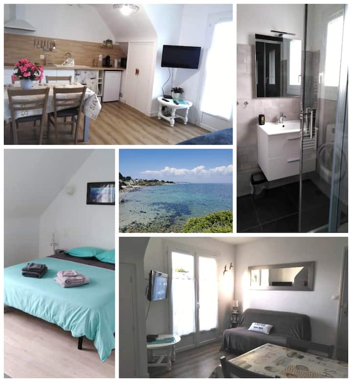 Quiberon, Joli T2 Proche Des Plages De La Baie - Quiberon