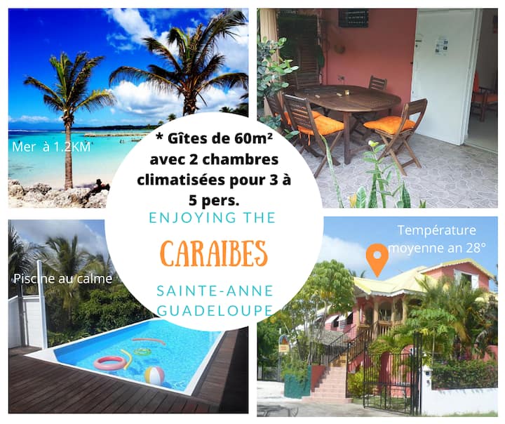 Gites 60m², 3-5 Personnes, 2 *, Mer, Piscine, Wifi - Plage de la Caravelle - Sainte-Anne