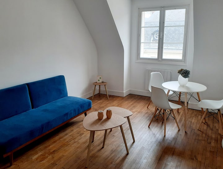 Au Papin Xiv, Cosy à 5 Min Du Château De Blois - Blois