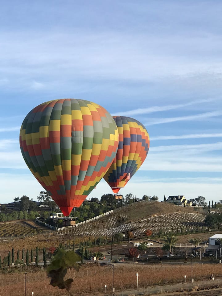 Private Room The Vineyard House - Temecula, CA