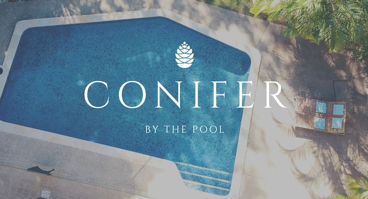 Conifer | Your Private Resort Pool Retreat - Gold Coast
