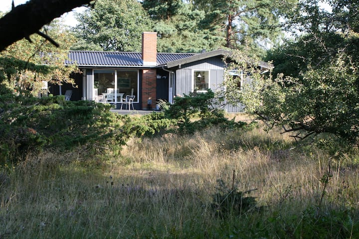 Sommerhus I Rørvig, Skøn Naturgrund, Tæt På Strand - Denmark