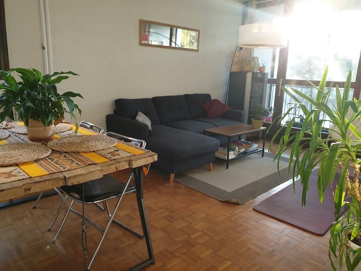 Appartement Agréable Et Lumineux - Annecy-le-Vieux