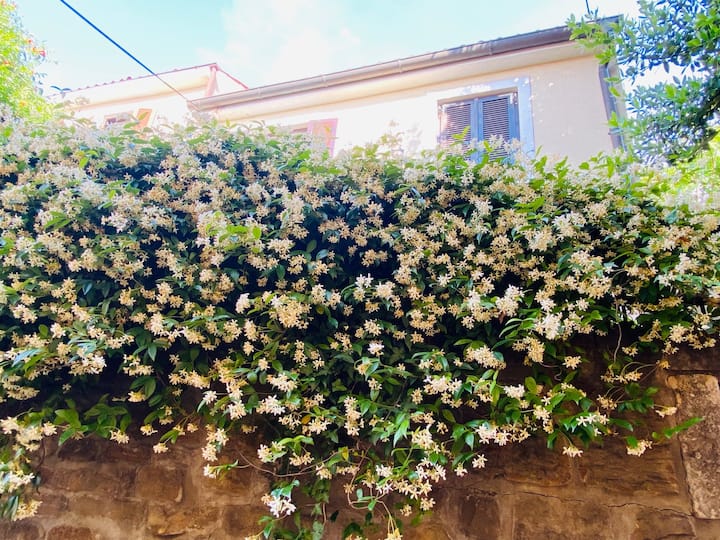 Private Garden By The Sea - 2-bedroom House, Piran - Piran