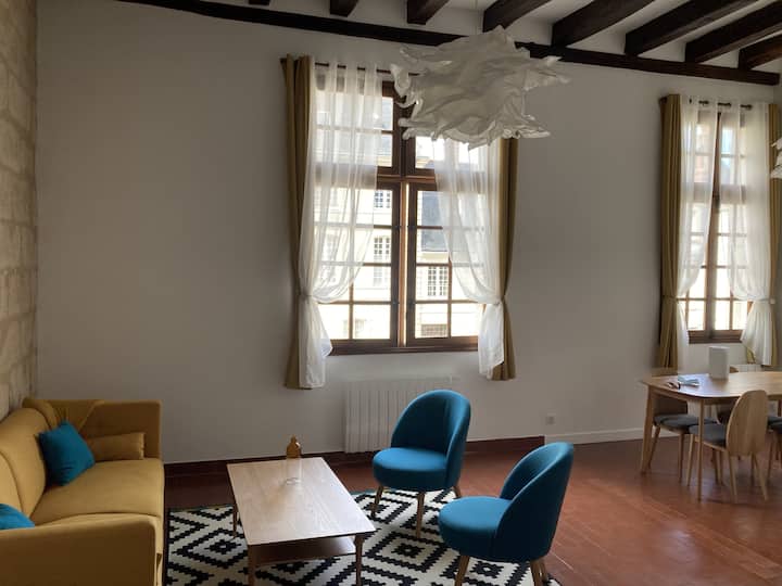 Appt Atypique Xviè Rénové Cœur Historique De Tours - Tours