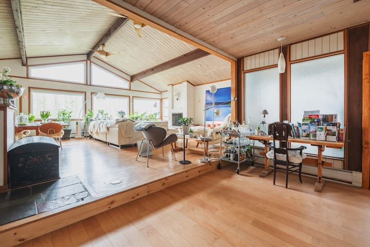 Scandinavian Designed Euro Room - Hyde Park, NY