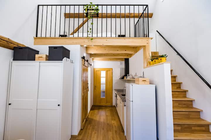 Timeless Barn - Bee Apartment - Ljubljana