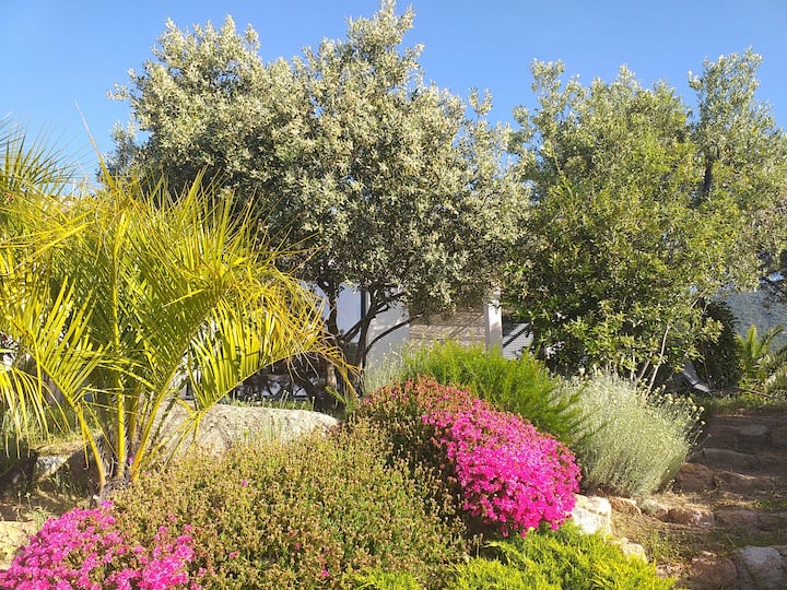 Du Dimanche Au Dimanche Maison F3 Au Calme Figari - Corse-du-Sud