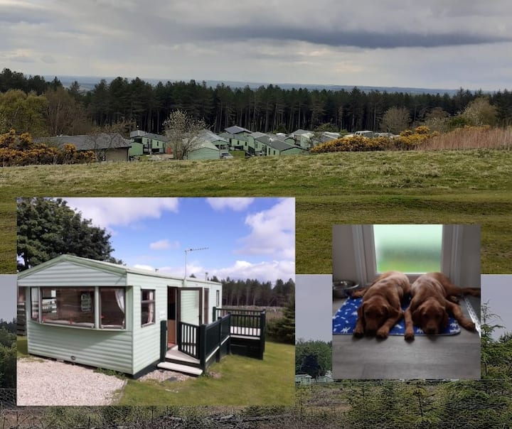 Slaley Holiday Rentals & Homes - England, United Kingdom | Airbnb