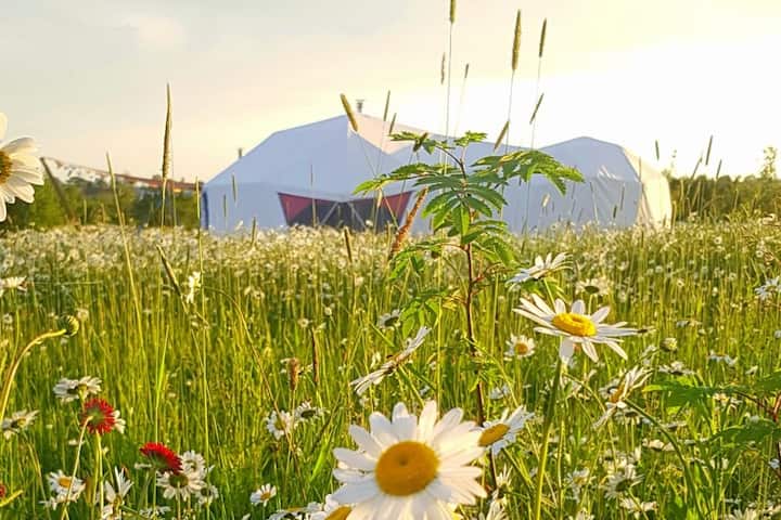 Wildflower Glamping In The Dome - Lechlade