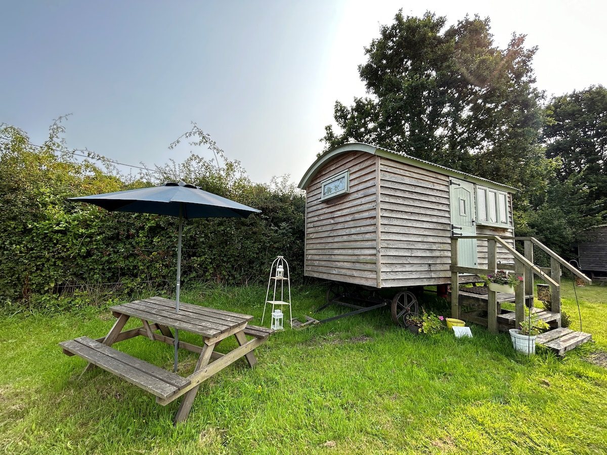 'Reggie' New Forest Shepherds Hut - Shepherd's huts (UK, France) for ...