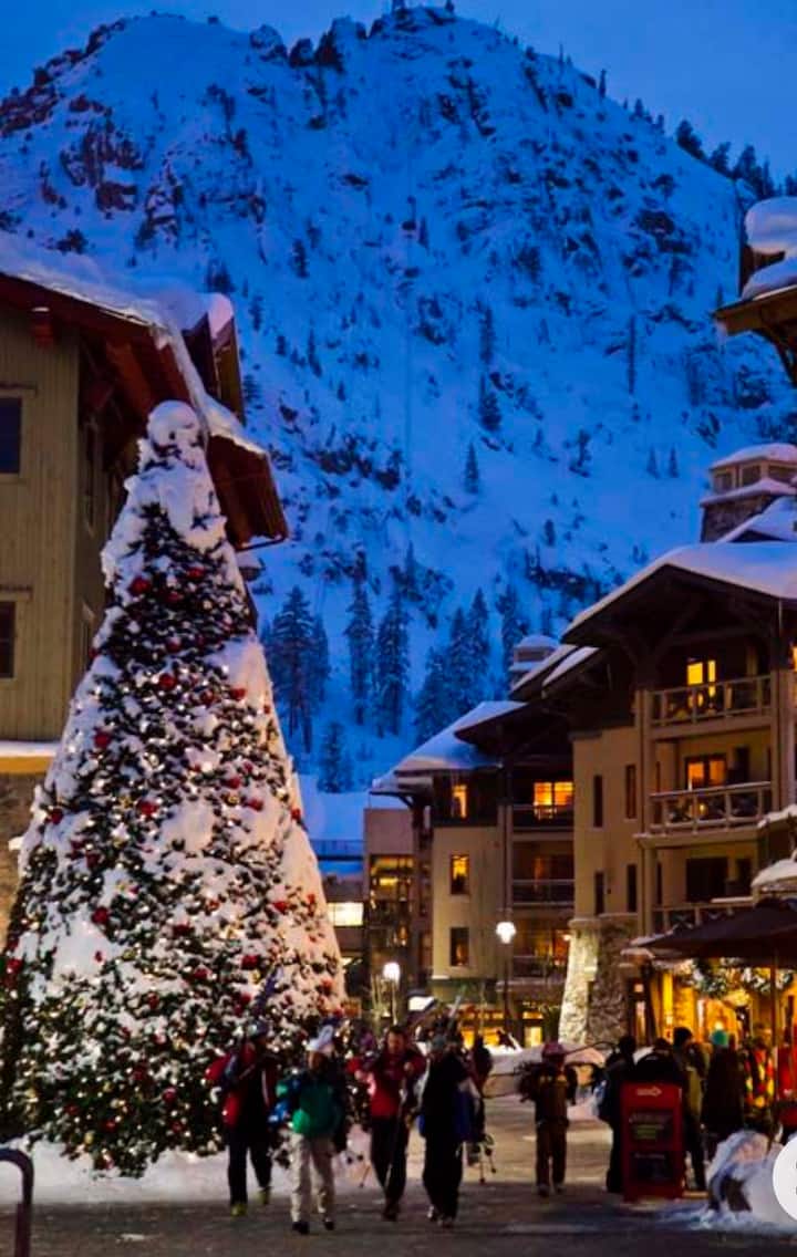 Lake Tahoe Forest River 2bedroom - Foresthill, CA