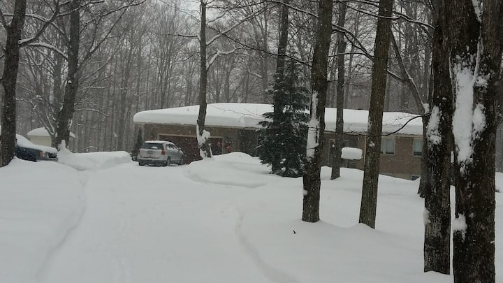 5+acres!winter Wonderland!cozy-up Now - Owen Sound