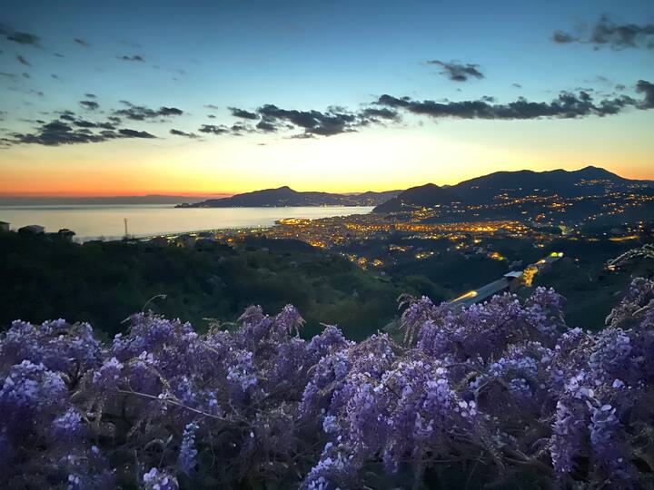 Al Mare Tra Gli Ulivi   ( Citra N. 010028-lt-0337) - Lavagna