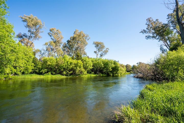 Ribbonwood Camellia Cottage - Tumut