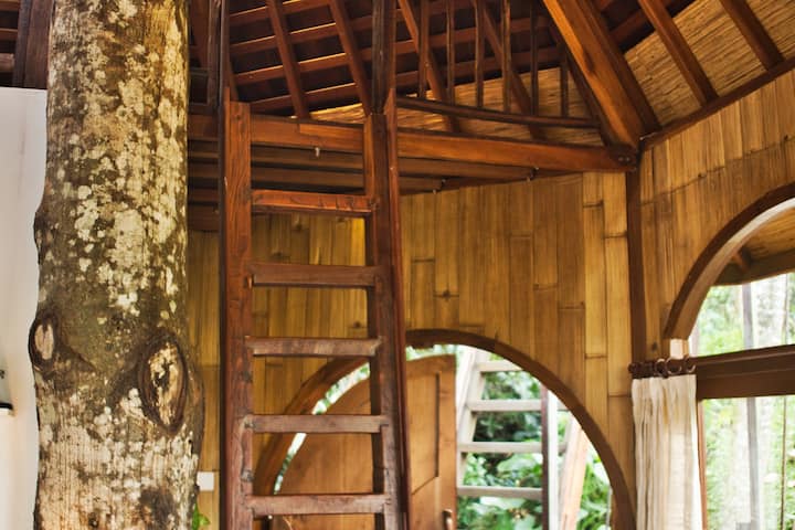 Enchanted Hobbit Treehouse Nestled In The Jungle - Bali