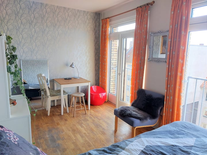 Bright Room Downtown Cph Next To King's Garden - Copenhagen