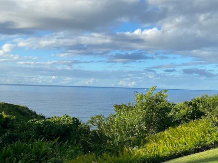 Ocean Front Newly Remodeled! Gorgeous Ocean Views! - Anini Beach, HI