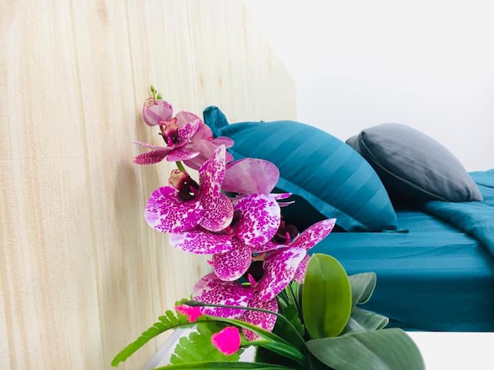 Salsa Guesthouse D'jitra - Jitra