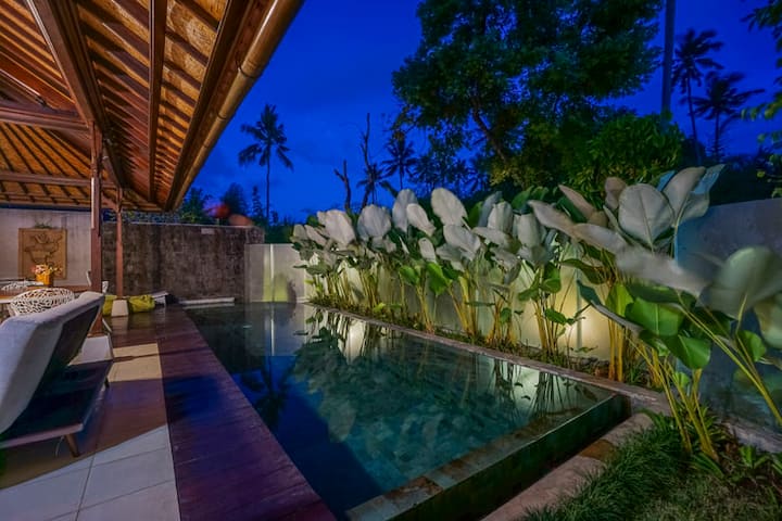 2br Private Pool Villa At Central Ubud - 烏布