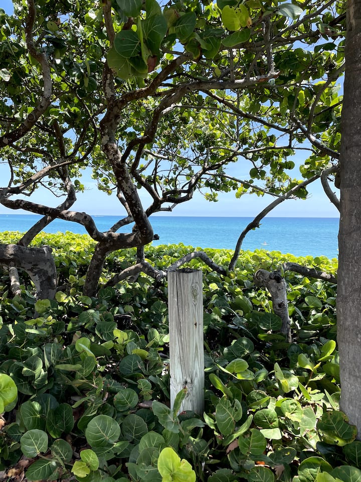 Beautiful Condo Close To Beach! - Jupiter, FL