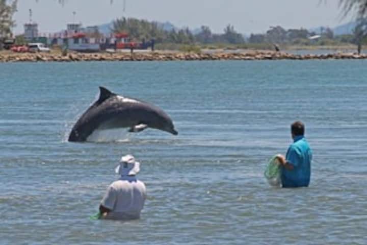 ÓTimo Apartamento Na Laguna No Mar Grosso - Laguna