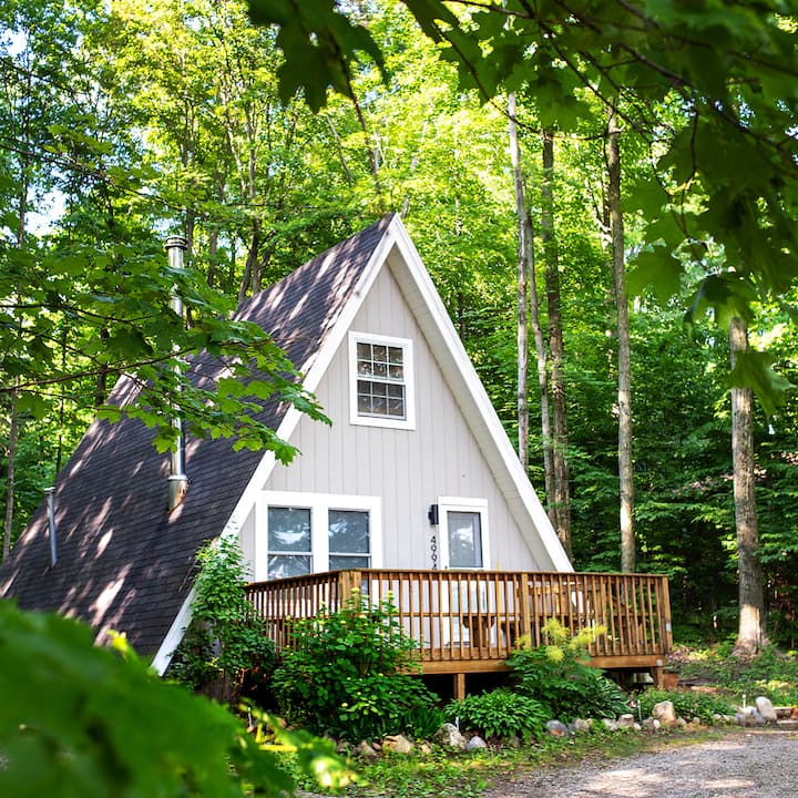 Cozy Aframe On Tunnel Of Trees Harbor Springs - Harbor Springs, MI