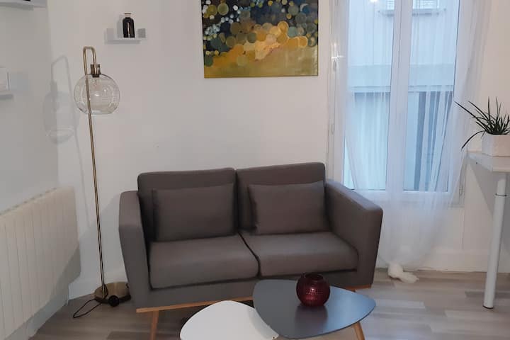 Bourges Centre Avec Terrasse à 5 Mn Palais D'auron - シェール