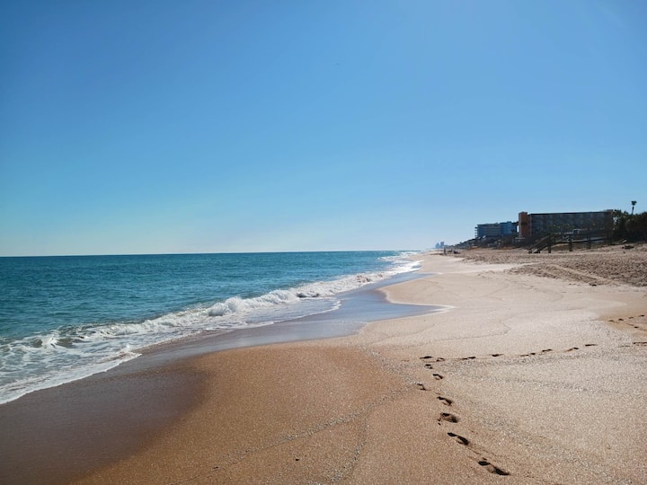 Beach House With Private Backyard Oasis!! - Ormond Beach, FL