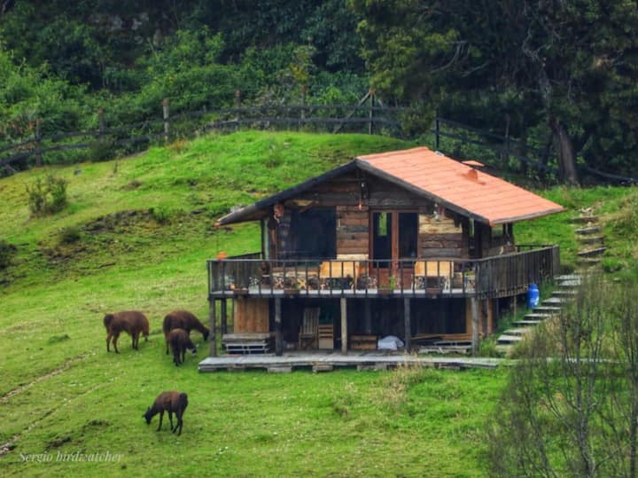 Reserva Natural El Chochal De Siecha Cabaña - Sopó