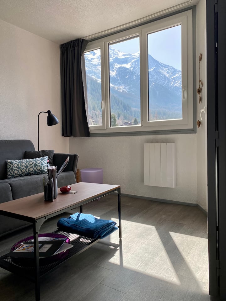 Bel Appartement Chamonix, Vue Mont-blanc🏔+parking - Chamonix-Mont-Blanc