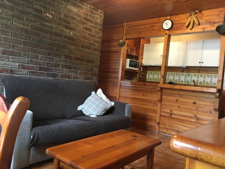 Acogedor Apartamento En Viella-baqueira - Viella